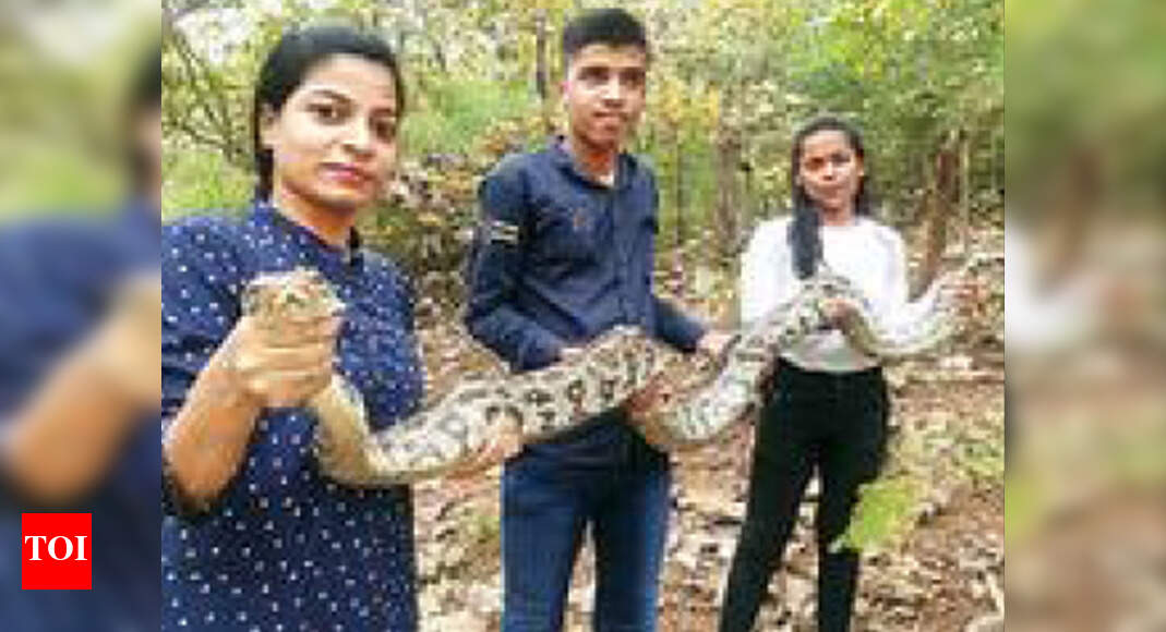 Mumbai: Eight-feet Indian rock python rescued from Mulund | Mumbai News ...