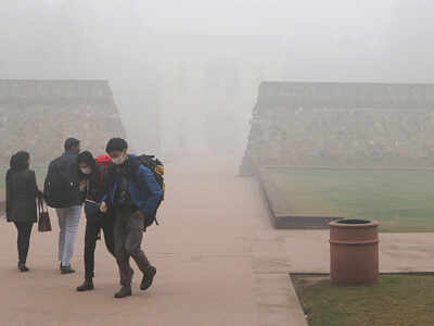 Delhi temperature news: Delhi shivers on coldest recorded December day since 1901; cold wave ...