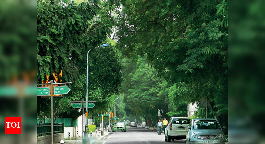 Letting Delhi breathe: City’s green cover up six per cent in two years ...