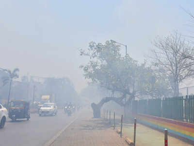 Pune: Year set to end with best annual average air quality since 2014 ...