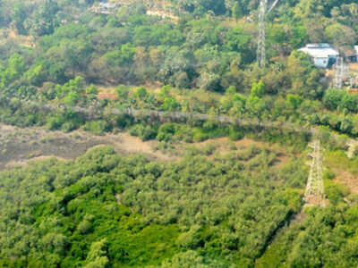 Slight rise in Pune district forest cover in 2 years | Pune News ...