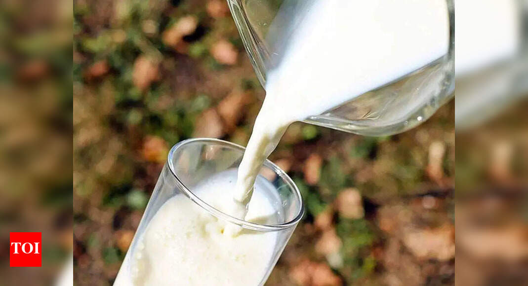 Goa Dairy milk to cost Rs 4 more from tomorrow | Goa News - Times of India
