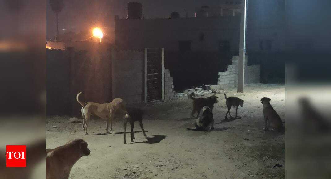 Dog Menace - Times of India