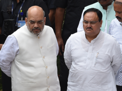 BJP names pointsmen to counter opposition’s campaign against CAA | India News - Times of India