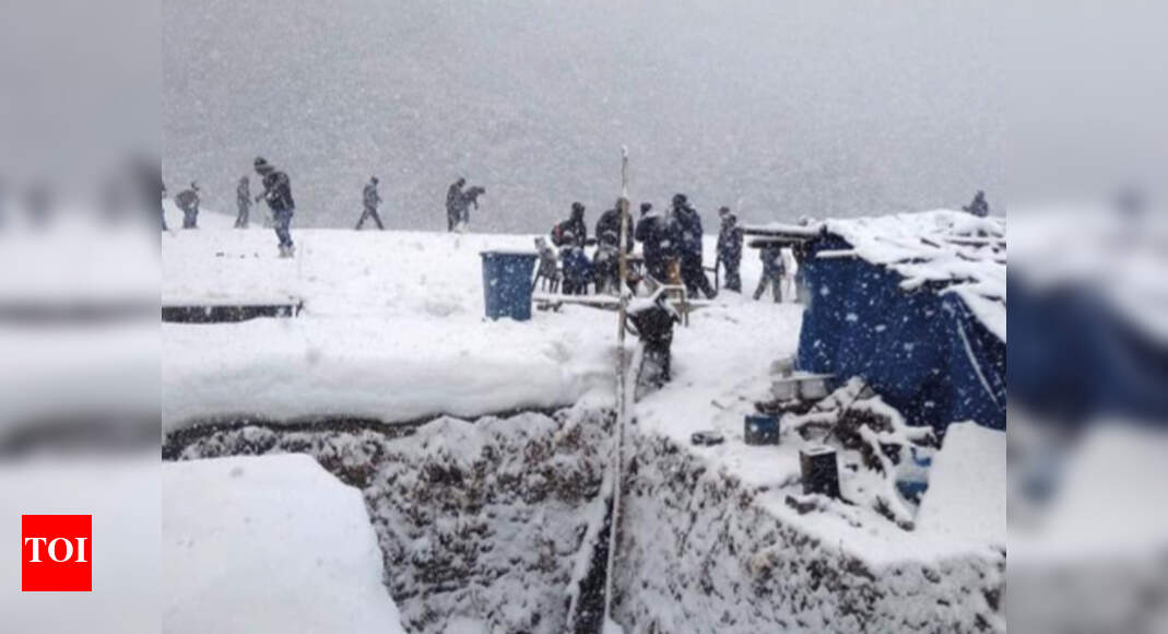 Photos: Cold winds sweep Uttarakhand; snowfall in higher reaches ...