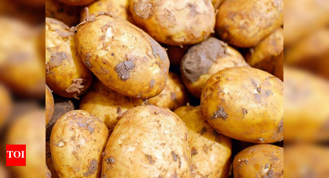 West Bengal: Potato demand-supply gap may widen after showers | Kolkata ...