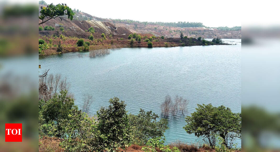 Pissurlem tries to revive agriculture, get proper irrigation | Goa News ...