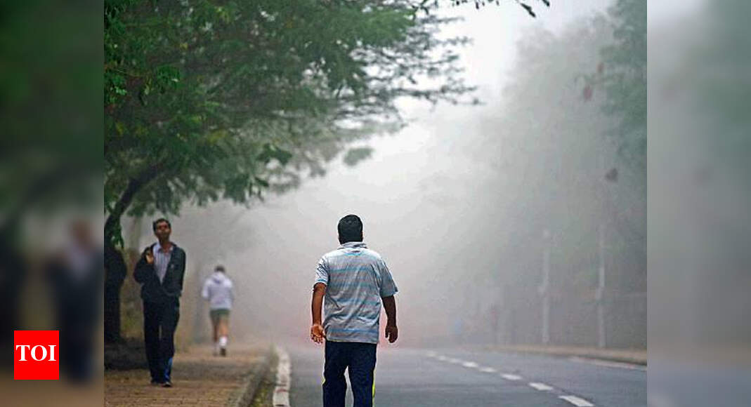 Pune: Warmer days to return after cold’s cool cameo | Pune News - Times ...