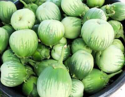 Inclement weather affects Mattu Gulla yield in district | Mangaluru ...