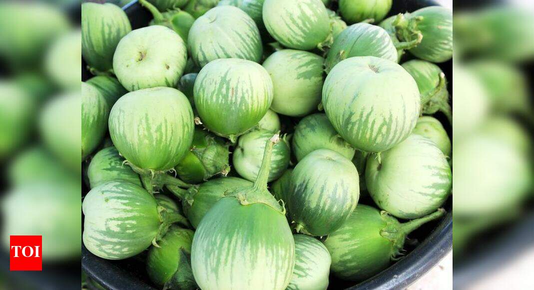 Inclement weather affects Mattu Gulla yield in district | Mangaluru ...