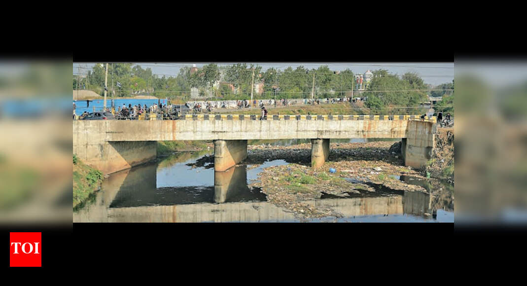 Ludhiana: Rs 650 crore plan for Buddha Nullah clean-up | Ludhiana News ...