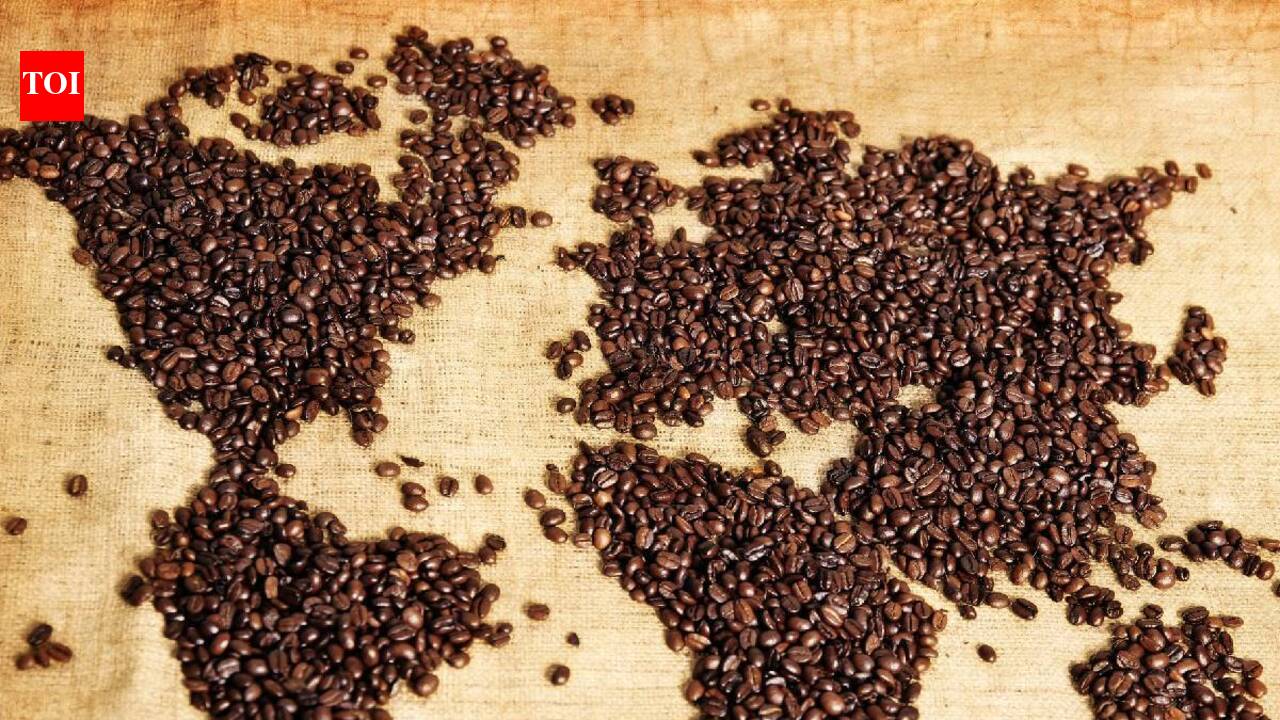 Coffee culture from around the world that will make you fall in love ...