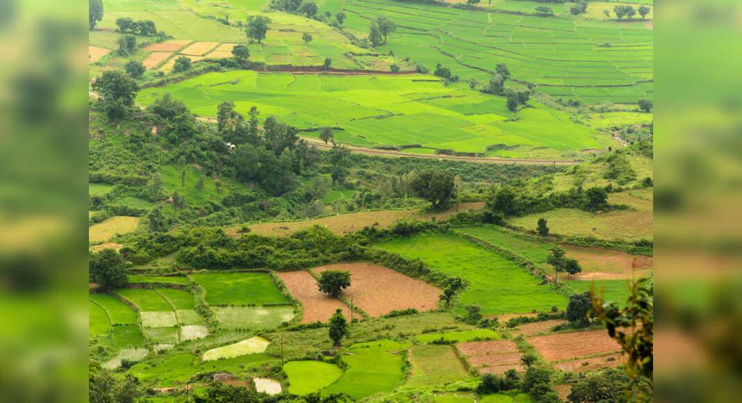 Lambasingi, the Kashmir of Andhra turns chilly, enjoys tourist ...