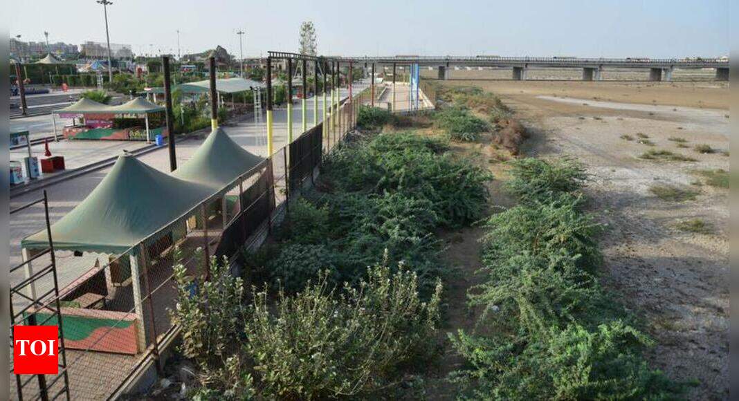 Tapi riverfront project to begin after formation of SPV | Surat News ...