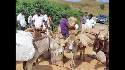 Tamil Nadu: Donkeys to deliver Pongal gifts to remote village in ...