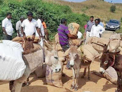Tamil Nadu: Donkeys to deliver Pongal gifts to remote village in ...