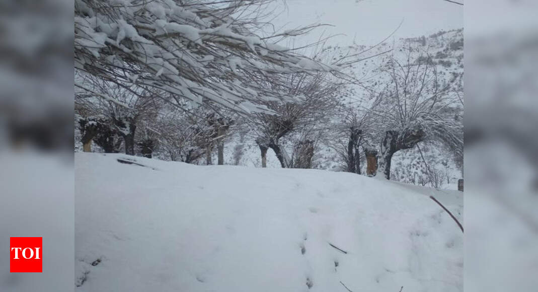 Snowfall a boon for tourists, a bain for locals in Nainital | Dehradun ...