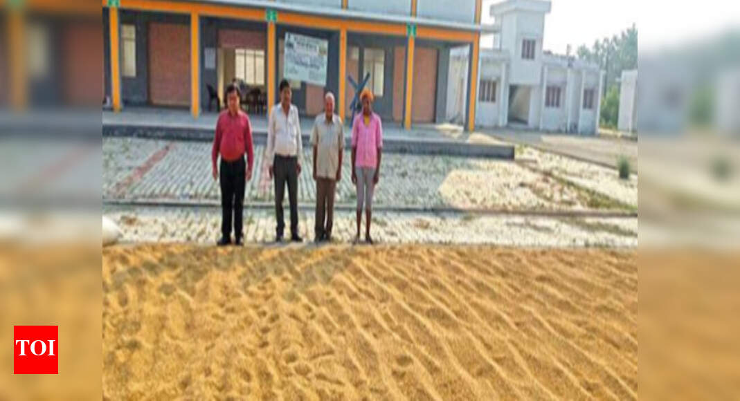 Pilibhit: Teething problems in online transfer system holds back paddy ...