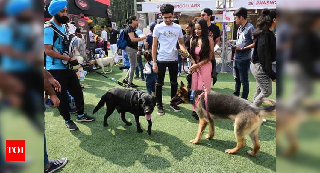 Mumbaikars have fun at this pet event | Events Movie News - Times of India