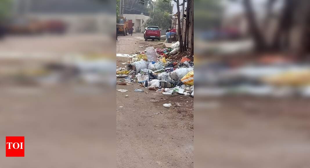 Poor garbage disposal - Times of India