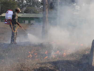 Fire lines created to prevent forest fire in Bandipur | Mysuru News ...