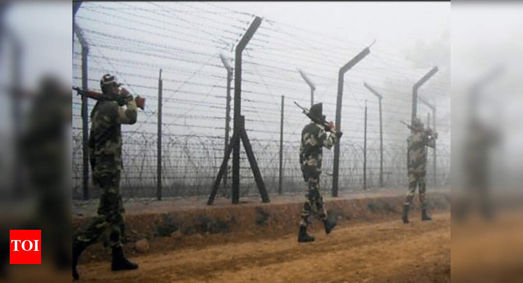 BSF’s Operation Alert kicks off from Thursday | Jaipur News - Times of ...