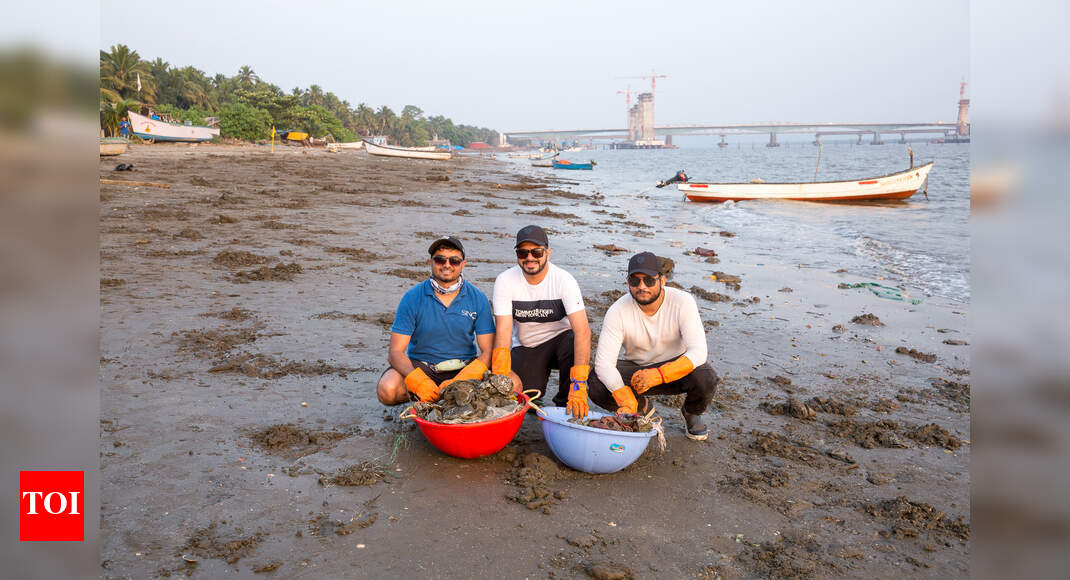 Goans come together for beach cleanup | Events Movie News - Times of India