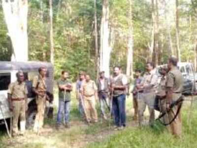 Wayanad forests: Tiger that killed tribesman evading capture ...