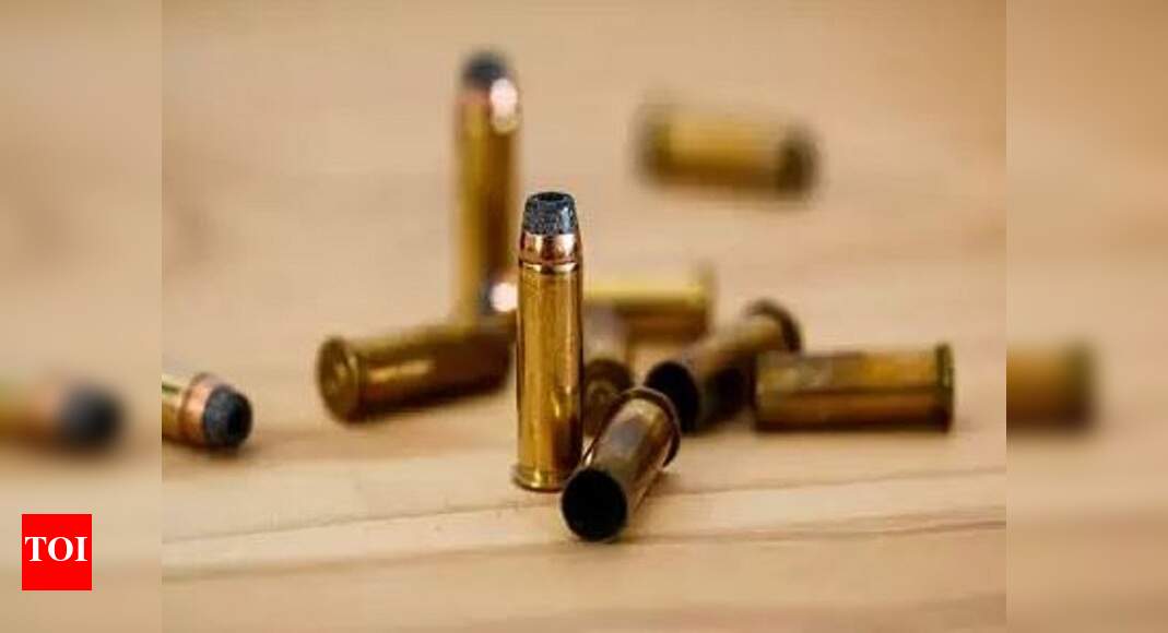 Man held with 10 bullets at Delhi metro station | Delhi News - Times of ...