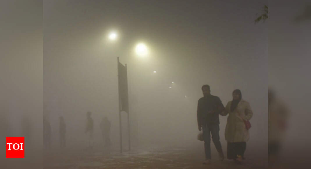 Lucknow: Day with overcast sky ends wrapped in thick fog | Lucknow News ...