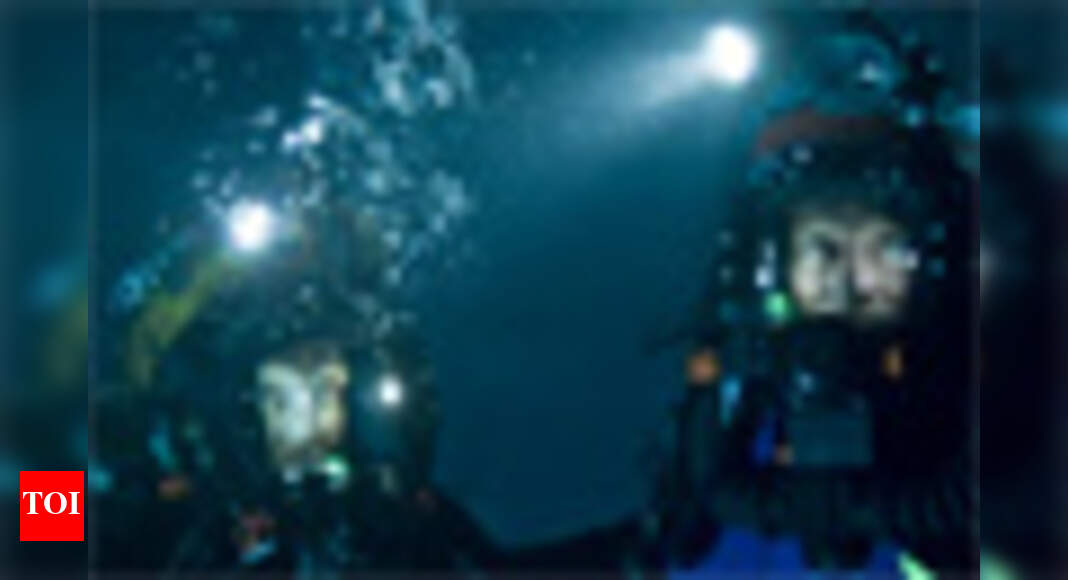 Sanctum | English Movie News - Times of India