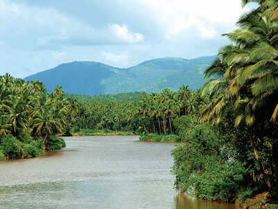 Goa: Talpona no longer on 'polluted rivers' list | Goa News - Times of ...