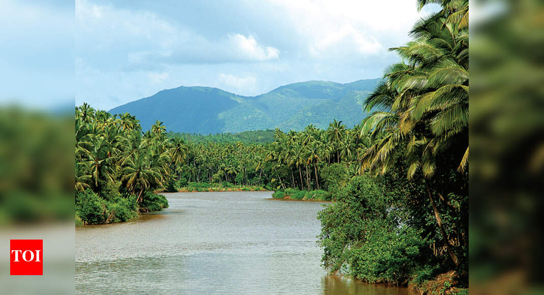 Goa: Talpona no longer on 'polluted rivers' list | Goa News - Times of ...