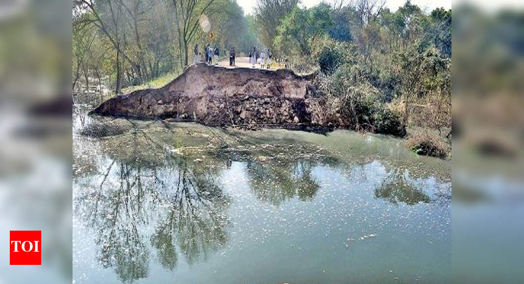 Part of Kharar-Bassi Pathana road caves in as sewage pipe ruptures ...