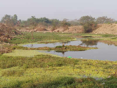Greens raise red flag over ‘dangerous burial’ of Ghansoli wetlands ...