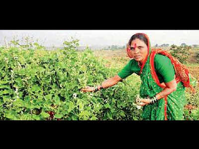 Maharashtra: 'Seed Mother' gives lessons in traditional farming ...