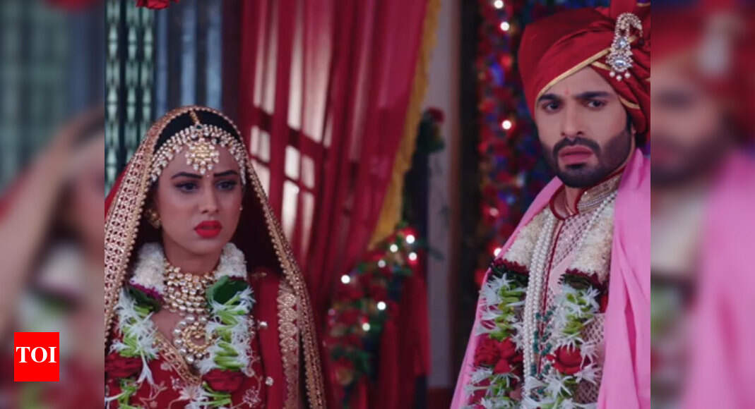 Naagin 4 update, January 25: Brinda sits in the mandap with Dev instead ...