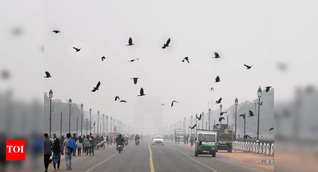Delhi Weather Today: Delhiites wake up to chilly morning | Delhi News ...