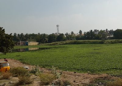 Adambakkam, Perumbakkam and Vengaivasal lakes in Chennai to be deepened ...