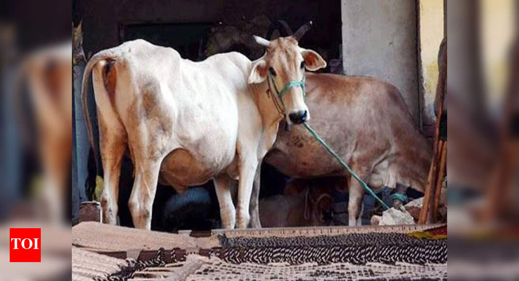 ‘Study on impact of climate change on animals of Himachal Pradesh ...