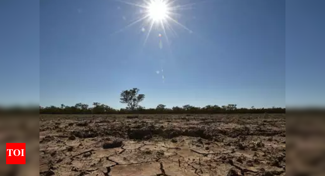 Climate change, humans causing Earth's biodiverse ecosystems to ...