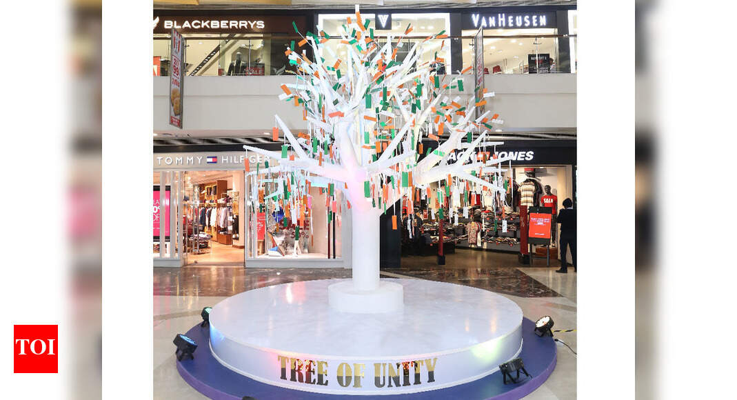 Delhi mall celebrates unity in diversity | Delhi News - Times of India