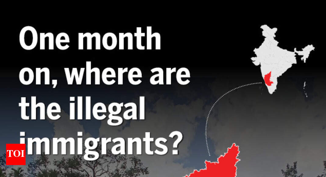 One month on, where are the illegal immigrants? - Times of India