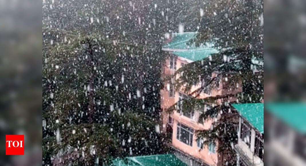 Himachal snow toll: 265 roads closed; Lahaul-Spiti worst hit | Shimla News - Times of India