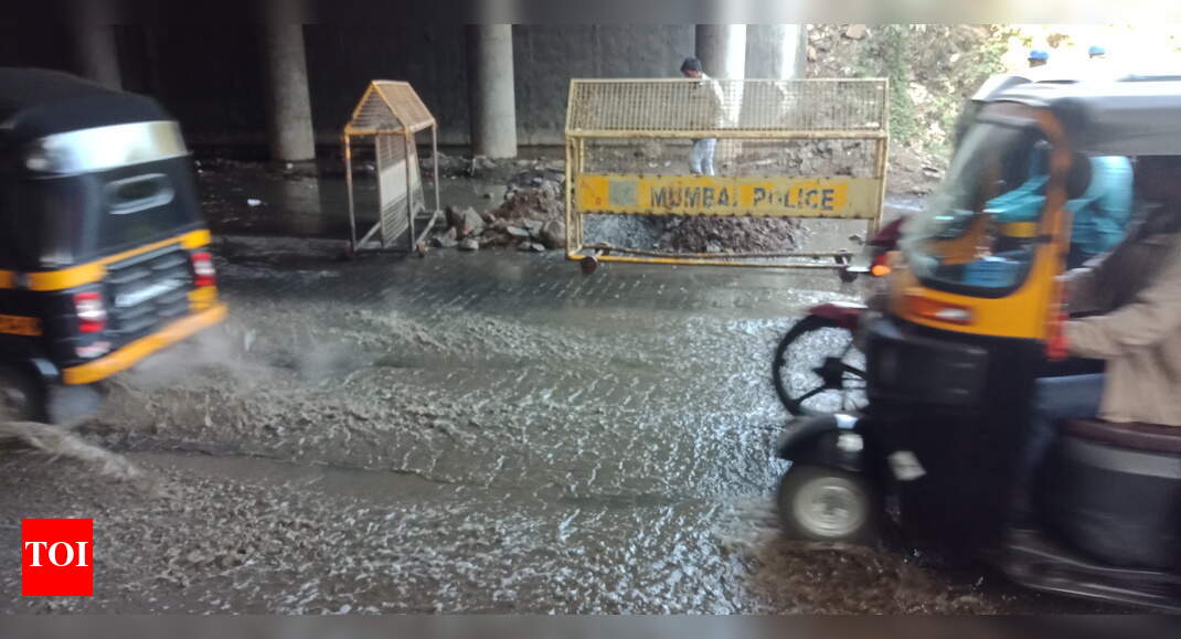 Sewage flowing on Aaray road bellow JVLR bridge - Times of India