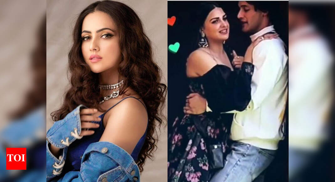 Bigg Boss 6 fame Sana Khaan says Himanshi is making Asim look like a ...