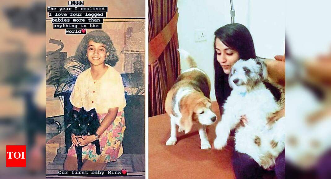 Throwback to when Trisha discovered her greatest love | Events Movie ...