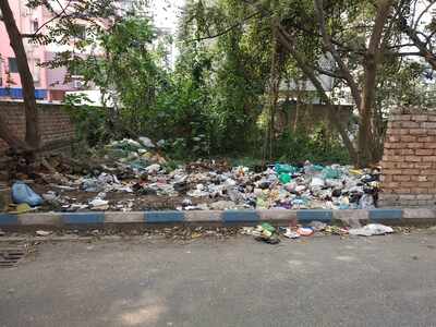 Open garbage dumping East End Park - Times of India
