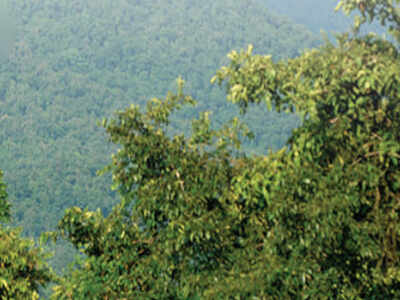 Over 90% documentation of Goa’s biodiversity complete | Goa News ...