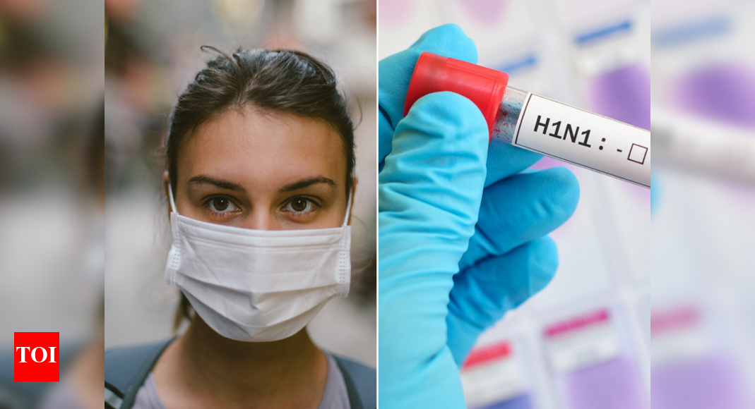 Swine flu: All you need to know about the H1N1 influenza - Times of India